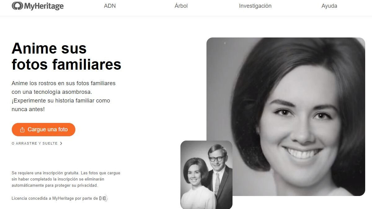 De la cumbre al cielo; la historia de la perrita citla - Revista 360 Grados