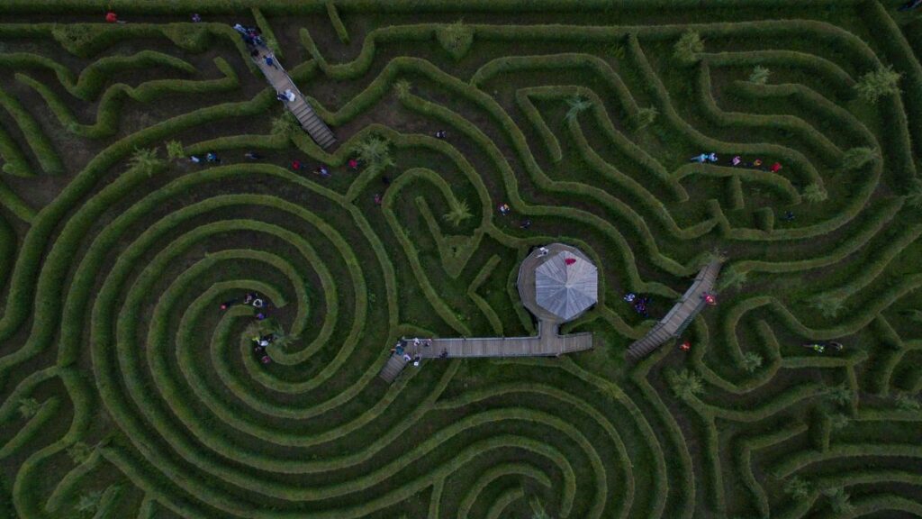 Date una escapada y visita el laberinto más grande de México