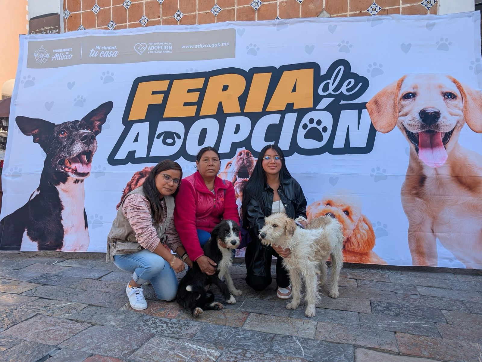 ¡Abre tu corazón en la Feria de Adopción Canina de Atlixco! - Revista ...