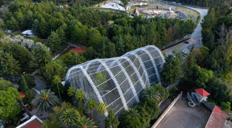Flor del Bosque espacio natural para las familias poblanas - Revista ...